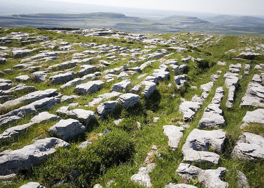 Guide to the Burren | Holidays by Insight Guides | Discover Trips ...