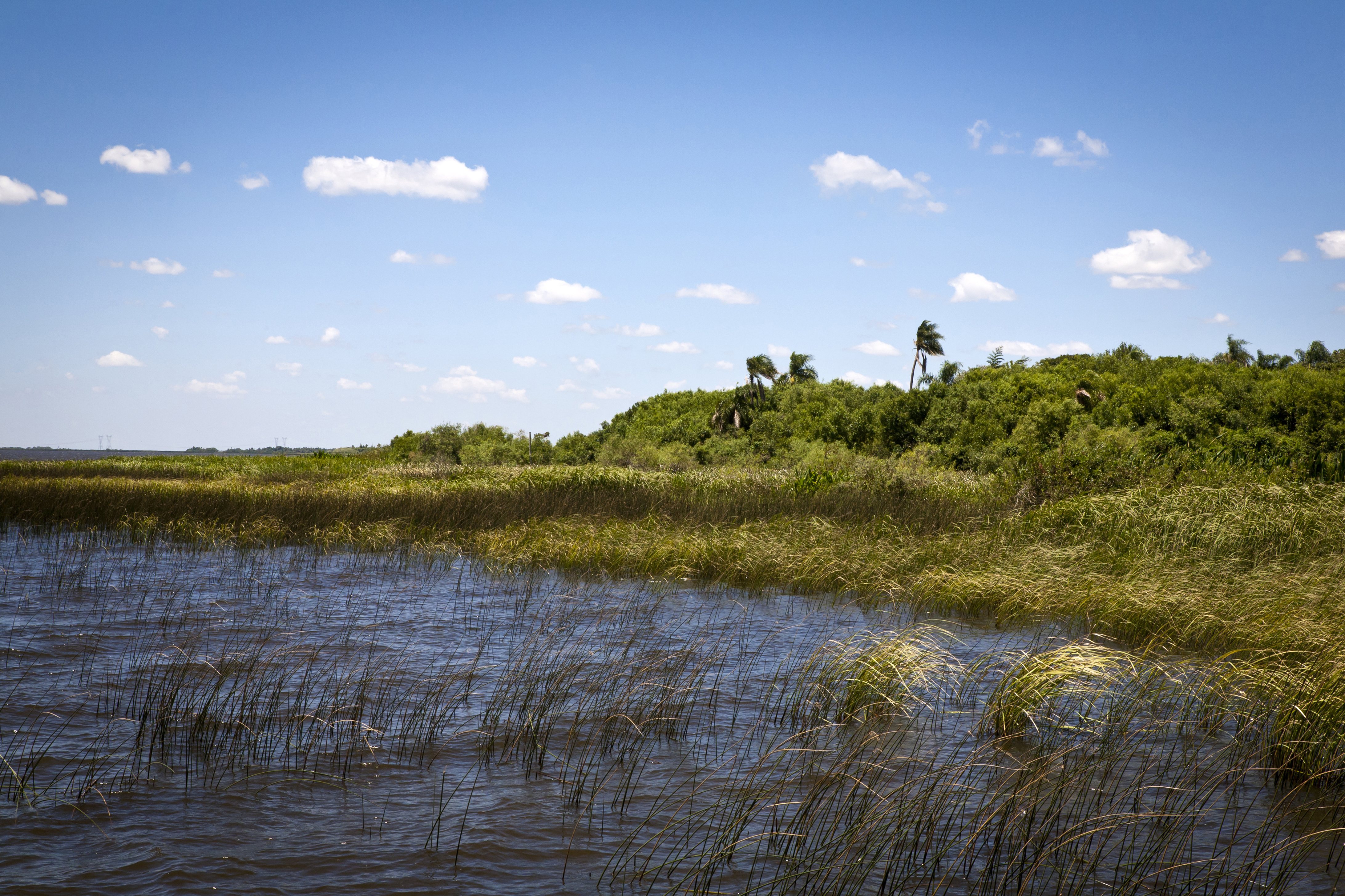 The Litoral Travel Guide - Discover the best time to go, places to ...