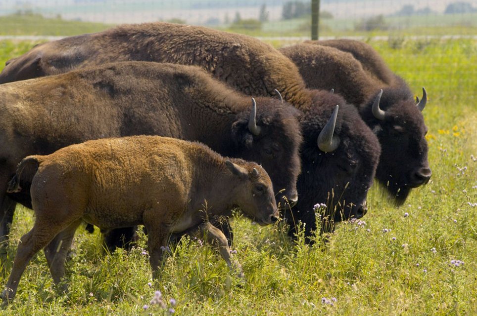 Canada Travel Guide - Discover the best time to go, places to visit and ...