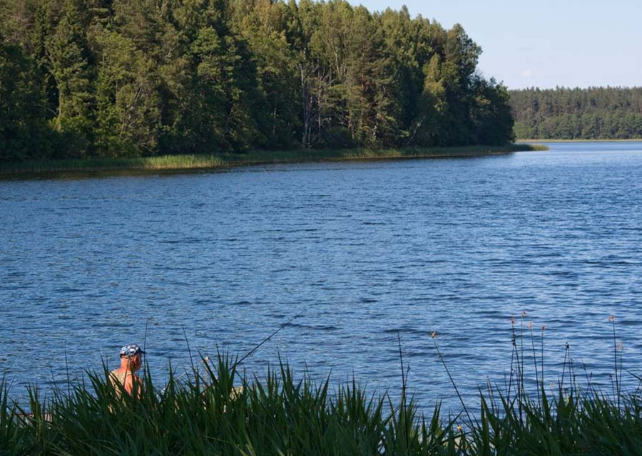 The South Travel Guide - Discover the best time to go, places to visit ...