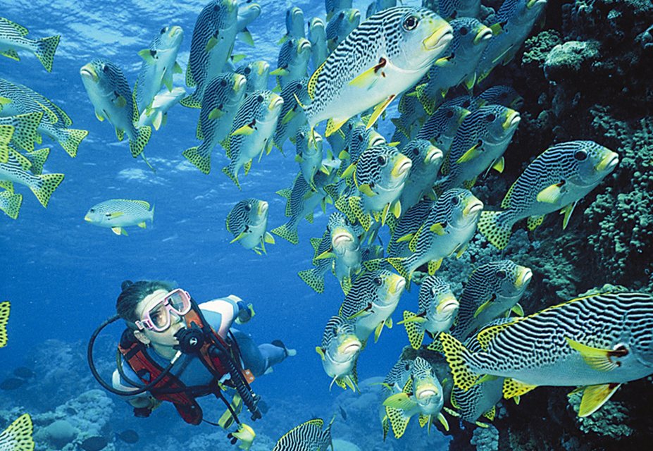 Australia Travel Guide - Discover the best time to go, places to visit ...